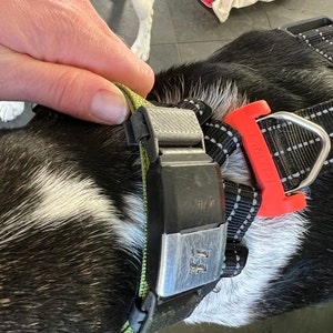 Fi Series 2 Collar Adapter - Etsy
