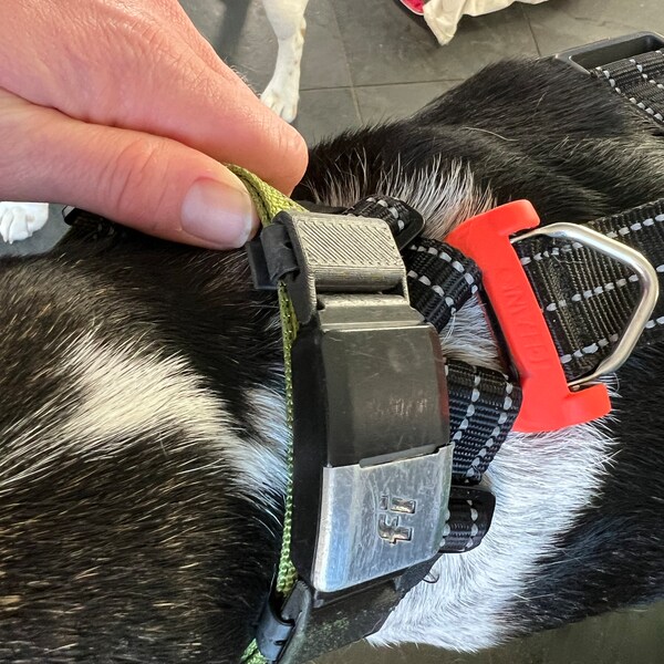 Fi Series 2 Collar Adapter - Etsy