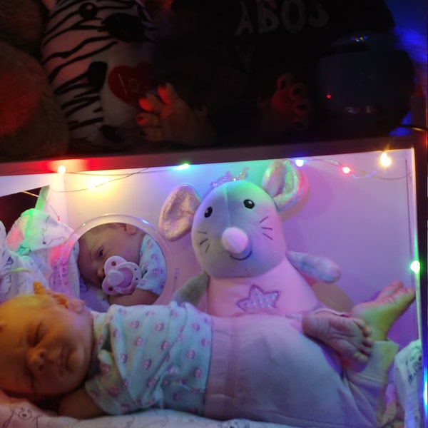 Lucian Kane Hybrid Werepup, Simon Laurens, Werewolf Puppy, Fantasy ...