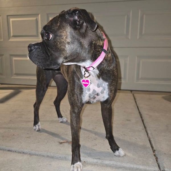 Acrylic Egg Pet Tag, Custom Egg Tag, Egg Pet ID, Fried Egg ID Tag - Etsy