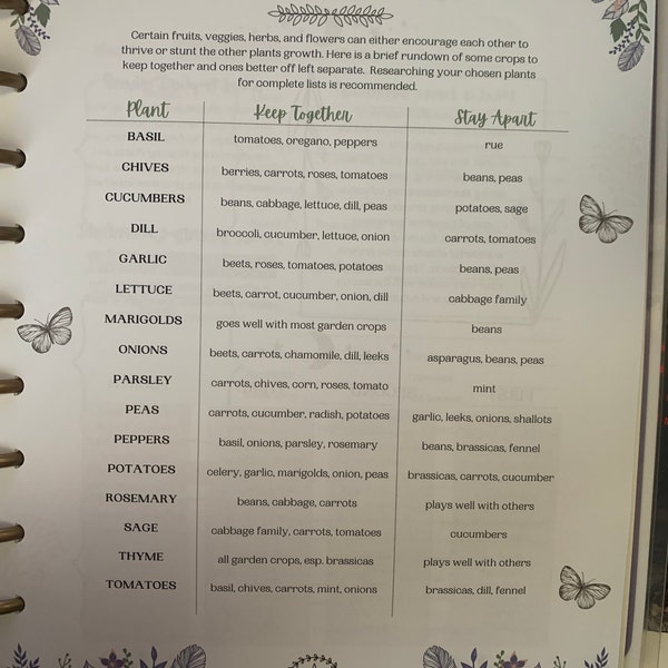 Complete Grimoire Page Bundle, Grimoire Pages, Grimoire Printables ...