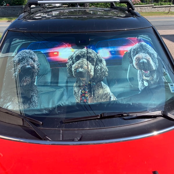 Car Sun Shade, Auto Sun Shade, Custom Dog Car Sun Shade, Custom Dog Car ...