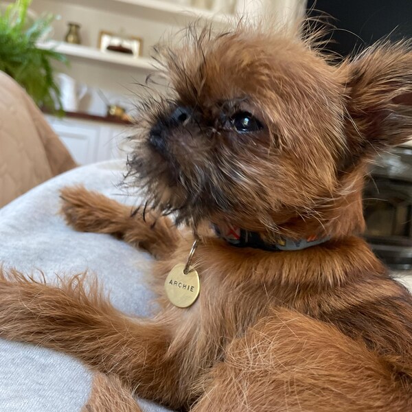 NICO Small: Luxury Hand Stamped Personalized Custom Pet ID Tags for ...