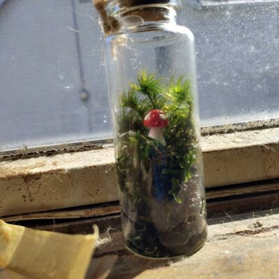 Unique Moss Wall Art Moss Wall Art Framed Black 36 X - Etsy