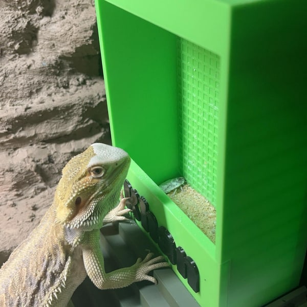 Reptile Insect Feeder Box (customizable) - Etsy