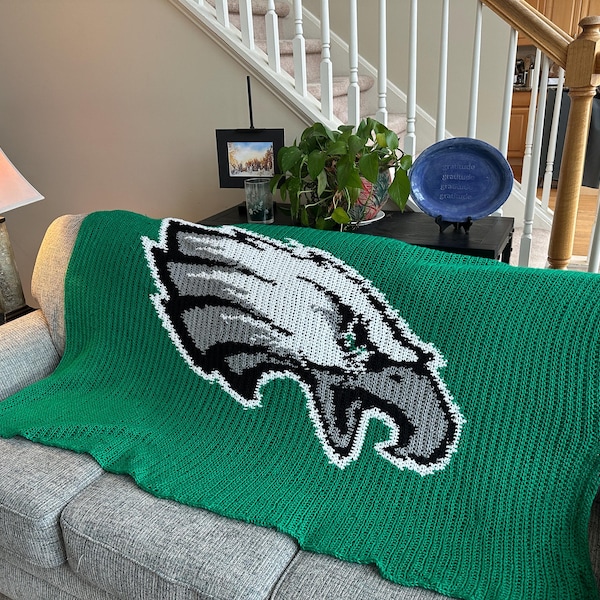 Football Team Blanket Crochet Pattern - Detroit Inspired - Etsy