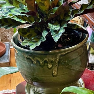 Large Custom Ceramic Decorative Planter House Plant Pottery - Etsy