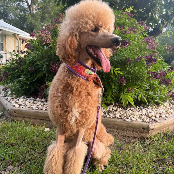 Dog Groomer Uniform, Dog Grooming Dress, Grooming Apparel for Women ...