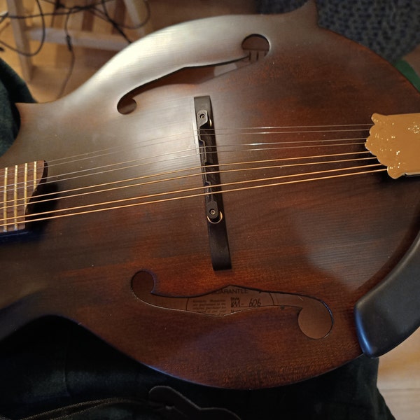 Premium Instrument Case Stand for Guitar, Violin, Mandolin, Banjo ...