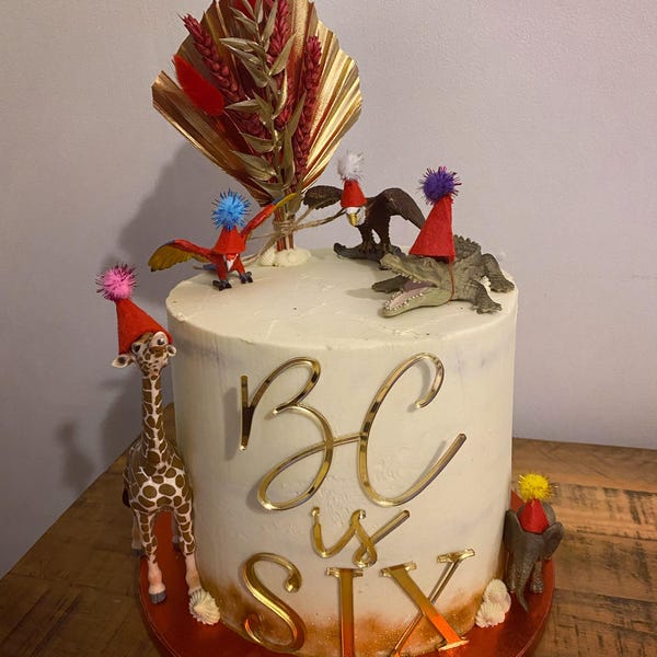 Snow Confetti Snowfetti® Biodegradable 100% Natural Water Soluble ...