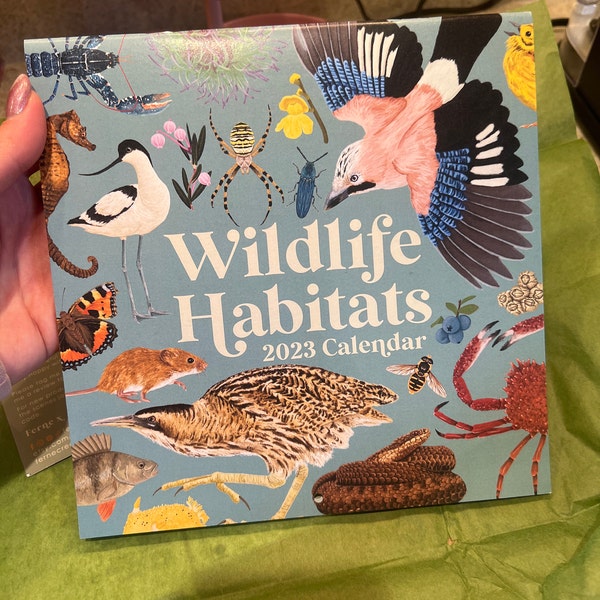 Recycled British Wildlife Habitats Calendar 2026 | Illustrated Daily ...