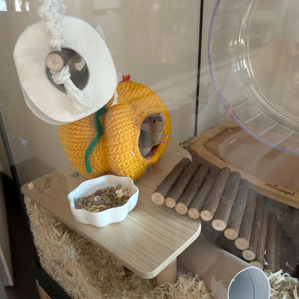 Pet Rabbit Costume, Bee Costume for Guinea Pig, Clothes for Bunnies ...