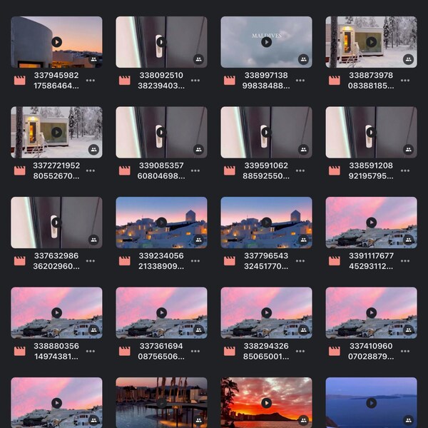 1300+ Funny Cat & Kitten Reels Bundle | Viral Animal Videos | Funny Pet ...