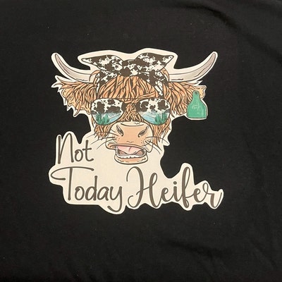 Not Today Heifer, Long Haired Cow, Farm, Barn, Cow, Cowhide, Desert ...