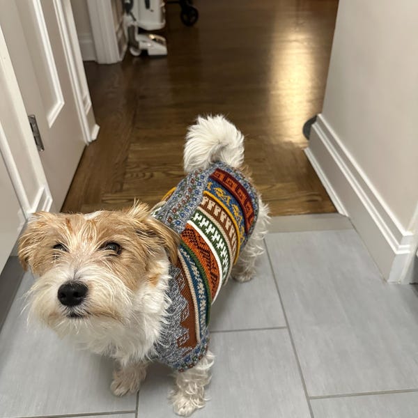 Cusco Alpaca Dog Sweater– Handmade of Baby Alpaca, Luxury Small Dog ...