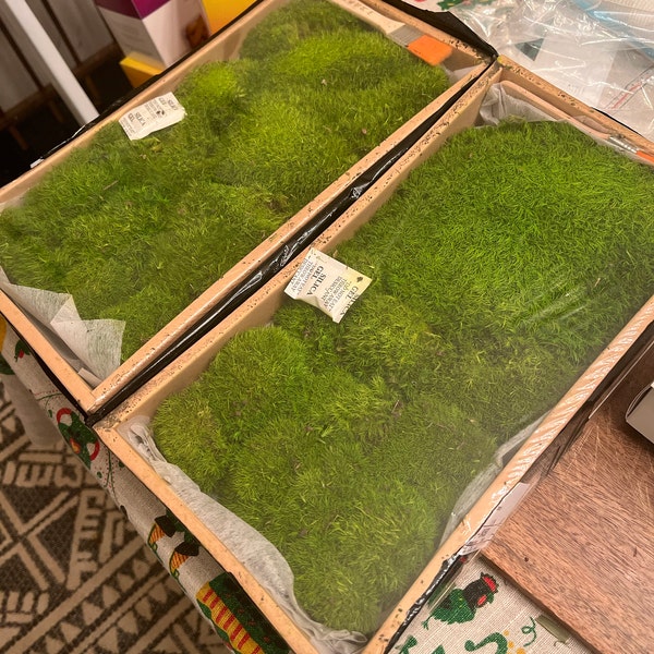 Extra Large Sheet Moss Natural Green Preserved Sheet Moss for ...