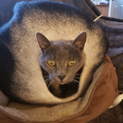 Premium Pink & Grey Cat Cave Hand Made Cat Bed - Etsy