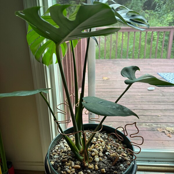 Set of 2 Monstera Shaped Plant Support Handmade - Etsy