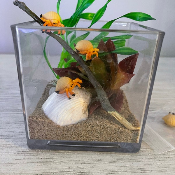 Set of Tiny MINIATURE Hermit Crab Sea Life Animal Figurine Mini Figure ...