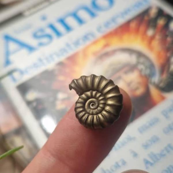 Crinoid Fossil With Complete Highly Detailed Heads (80mm) Pentacrinites ...