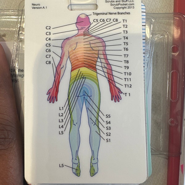 Dermatome Badge Pocket Card Vertical for Nurse Paramedic EMT for ID ...