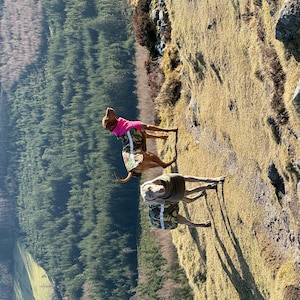 Grab Traffic Handle Lead 2 Colour Waterproof Biothane Dog Lead With ...