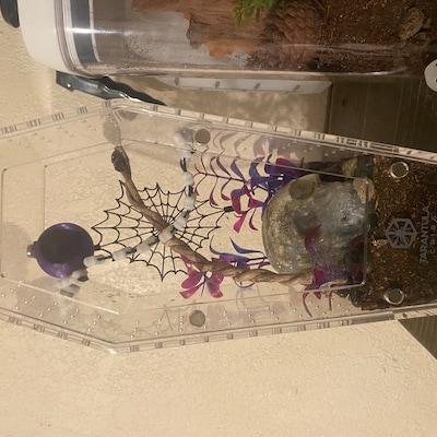 3D Printed Magnetic Bone Bridge Jumping Spider Enclosure, Hide - Etsy
