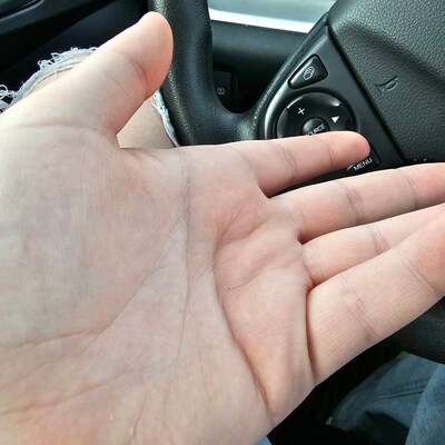 Bumblebee Flower Sticker, Bumblebee Rose and Lavender Sticker ...