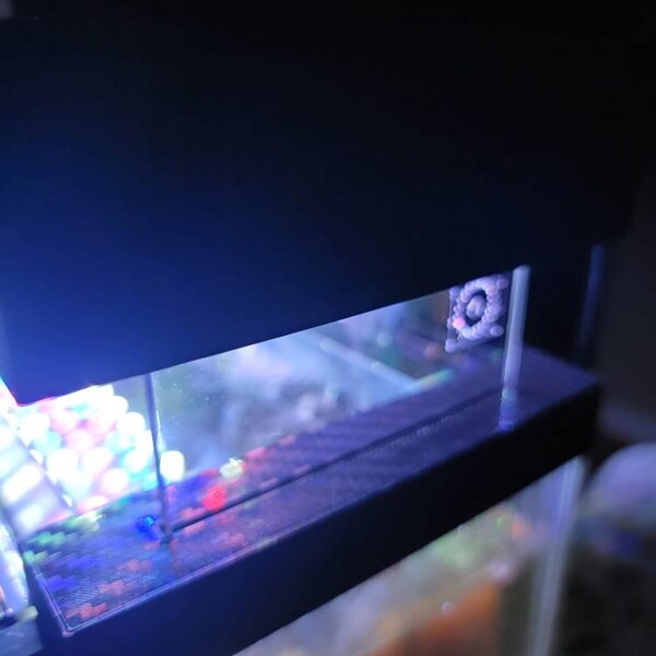 Hygger Advanced Light Riser, Attractive Stable Elevated Stand, Quality ...