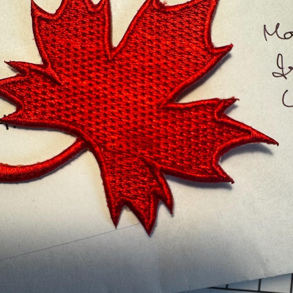 Human Heart, Heart Patch Blue Embroidered Iron on Sew on Patch Badge ...