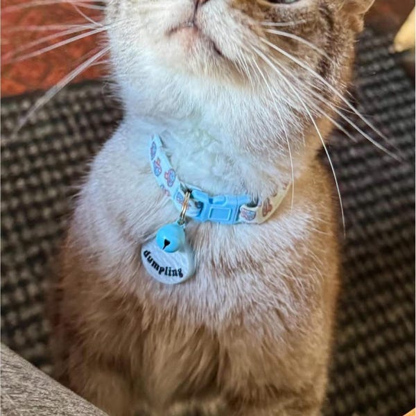 Pink Daisy Cat Collar, Y2k Floral Cat Collar Breakaway, Cute Girl ...