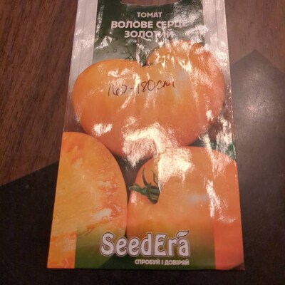 Celosia Flower Seeds Bullfighter Flower Seeds - Etsy