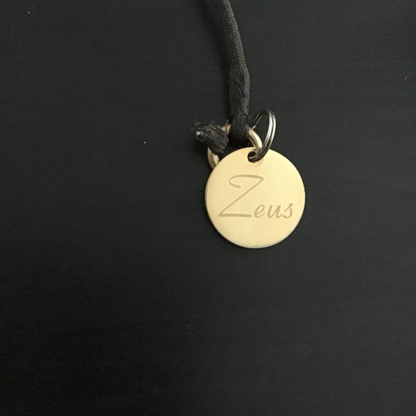 Personalized Gold Dog Tag Custom Engraved ID for Dogs Microchip ...