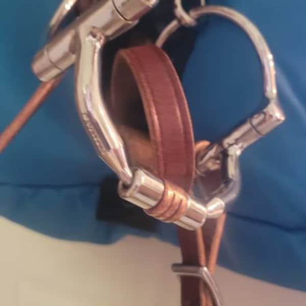 Cavalon Full Cheek Soft Leather Snaffle Bit - Etsy