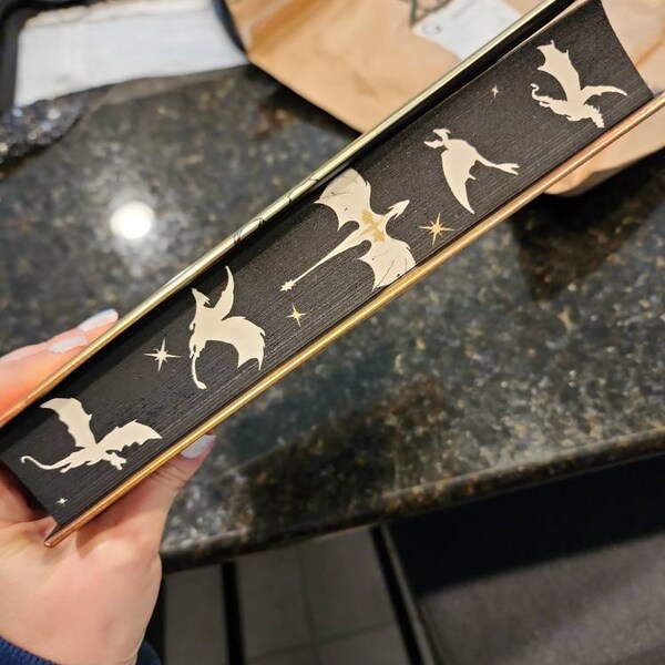 Wildfire Icebreaker Sprayed Edges Hannah Grace Custom Made Paperback - Etsy