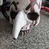 Zombie Coffee Mug, Evil Dead Inspired, Zombie Mug, Horror Face Coffee ...