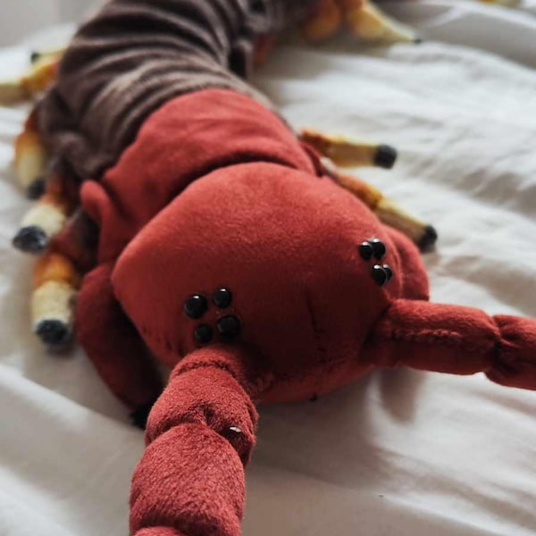 Plush Centipede albino Handmade - Etsy