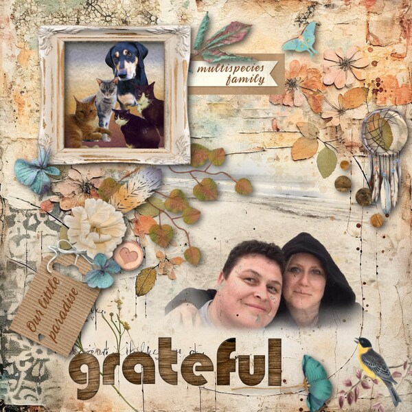 Transparent Digital Overlays, Scrapbook Textures, Painted Overlays ...