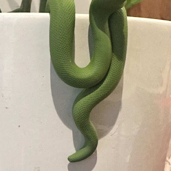 Milk & Honey Pot Pal Snake | Original Creator EST. 2020 | Handmade ...