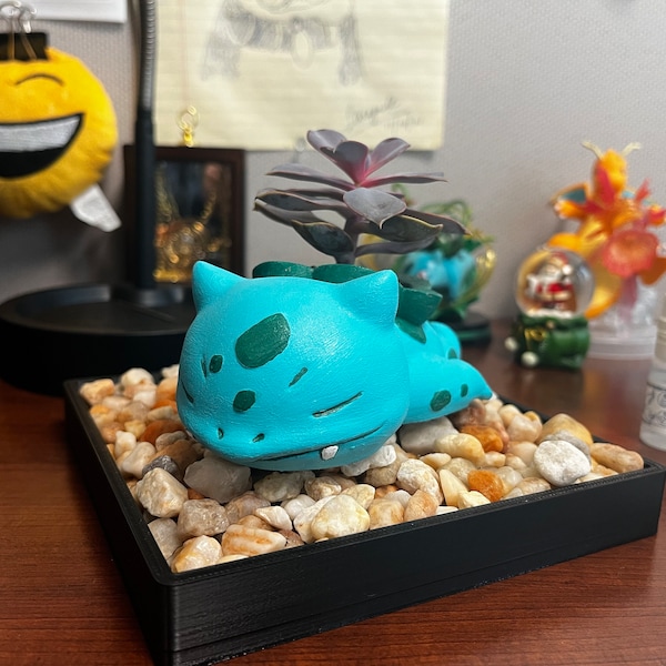 Pebble Tray for Plants (pre-washed Pebbles Included) - Etsy