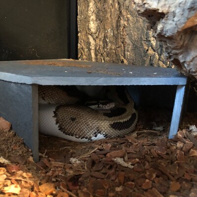 Slate Cave Bottomless Hide 10x10x4 for Fish, Snake, Reptile, Turtle ...