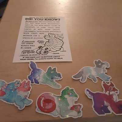 Aceflux Pride Stickers Shark, Dog, Cat Designs Holographic Sticker for ...