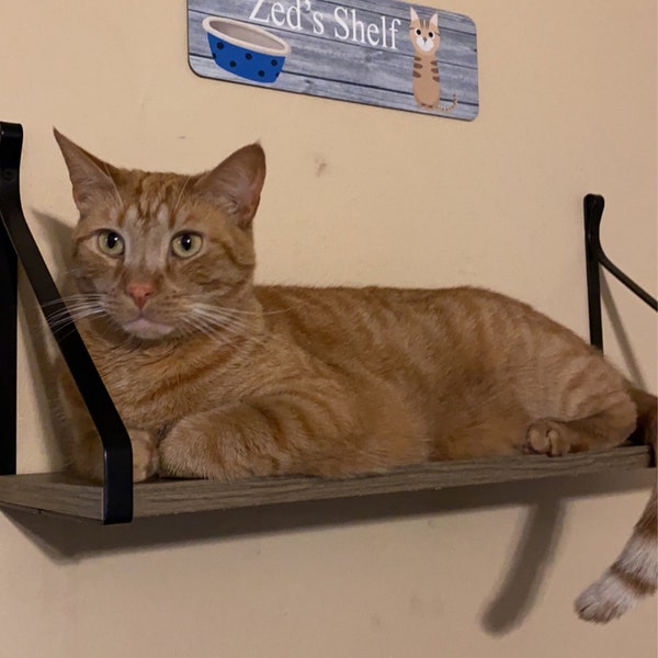 Personalized Cat Name Sign, Cat House Aluminum Door Sign, Gift for Cat ...