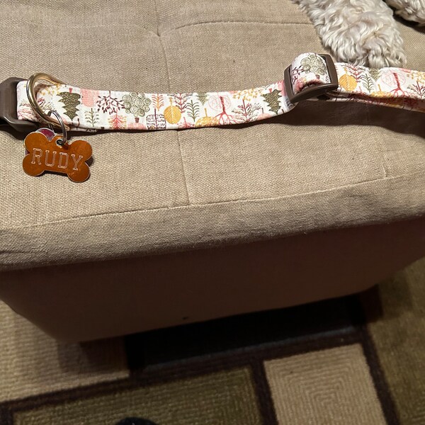 Fall Dog Collar for Boy Girl- Autumn Trees - Xsmall Small Medium Large ...
