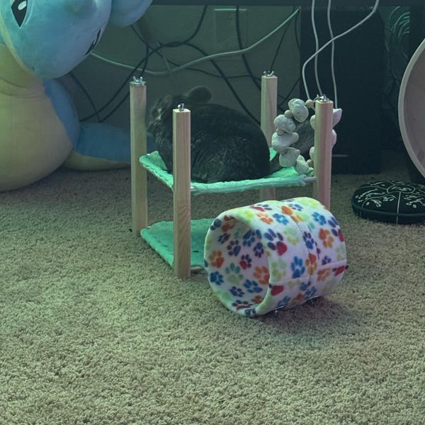 Hamster Hideout. Hamster House. Personalized Haven for Small Rodents ...