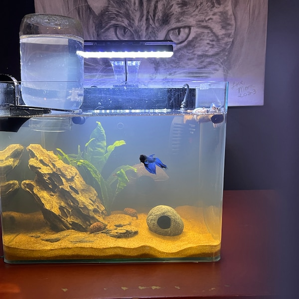 20 Gallon Tall 3D Printed Aquarium Divider Betta Tank Divider NO TANK ...