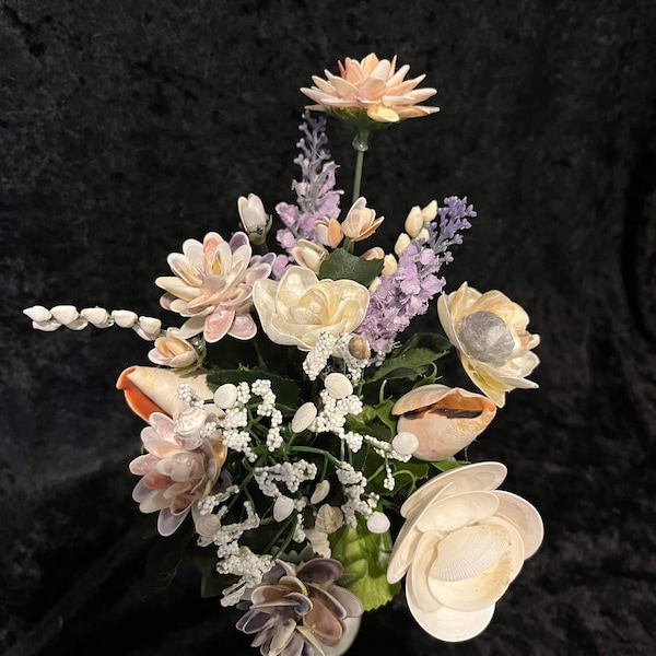 Florida Bubble Shells 200 Pieces. Variety Sizes (.25-1 Inch) - Etsy