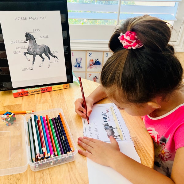 Human Body Systems, Print Copywork, Human Body Facts, Print Handwriting ...