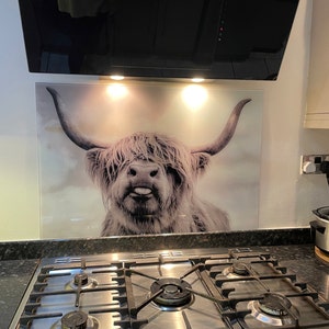 Kitchen Glass Splashback-tempered Glass Herbs Backsplash Tile Kitchen ...