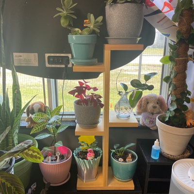 Solid Oak 3 Tube Plant Propagation Station - Etsy